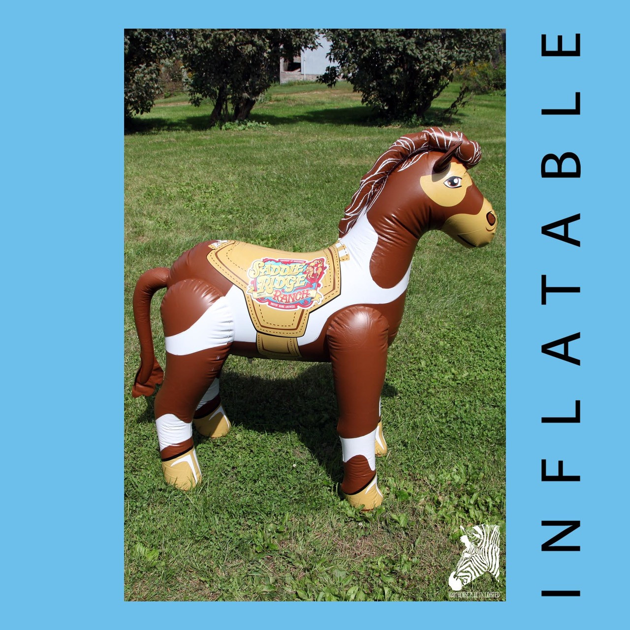 Horses - Inflatable Horses - Horse Play