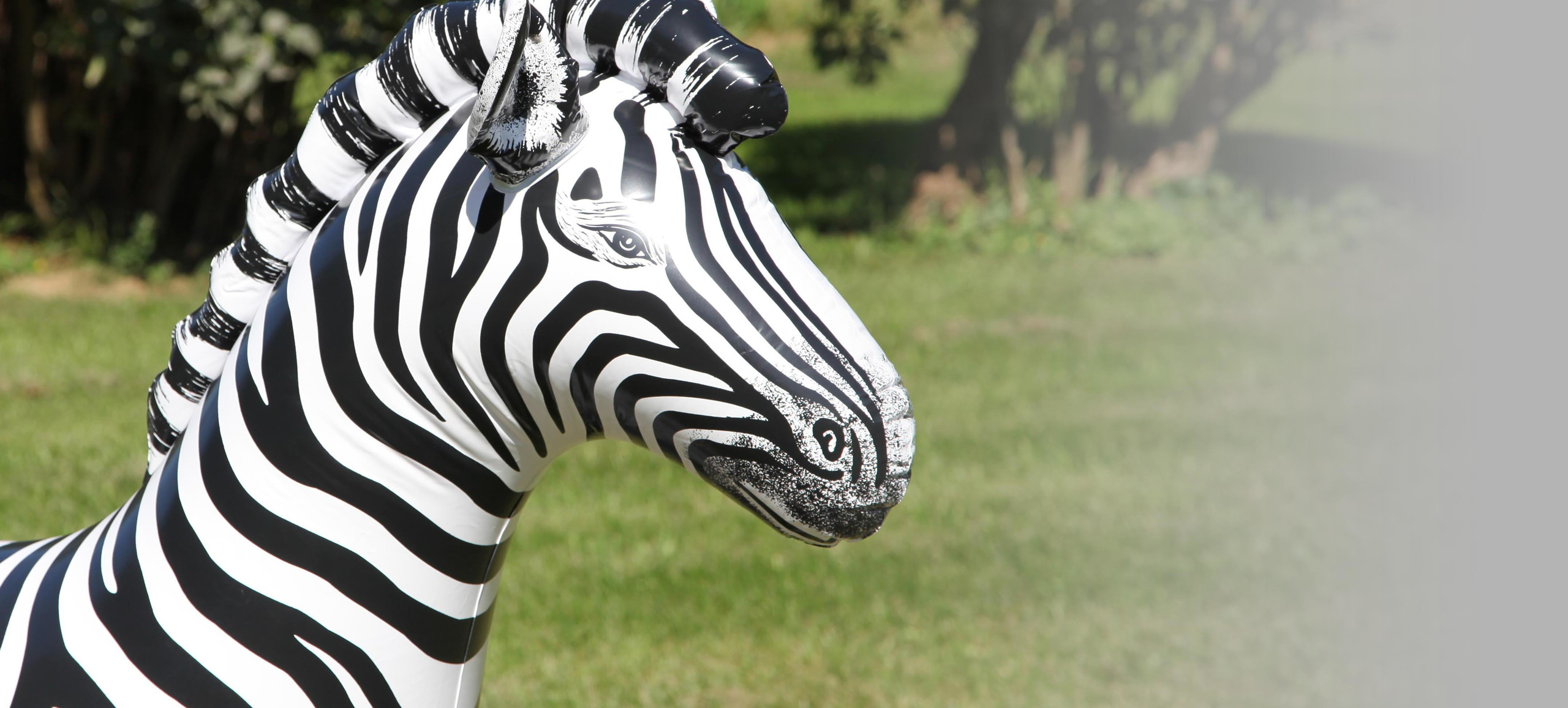 Zebras - Inflatable Zebras - Horse Play