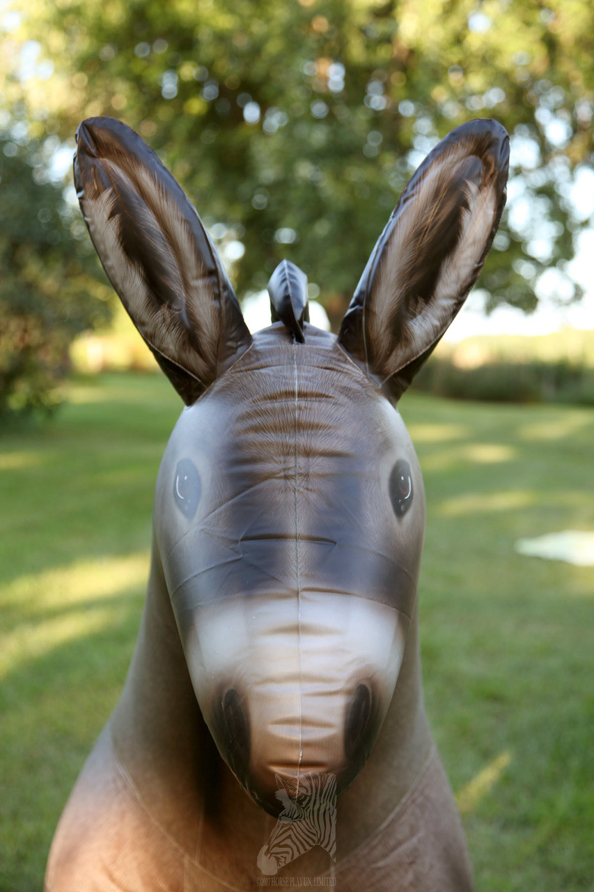 LIFELIKE DONKEY INFLATABLE ANIMAL - Horse Play
