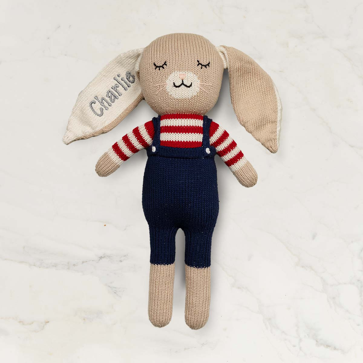 Baby & Kids Embroidered Stuffed Animal Gift: Basil the Bunny | Jake and ...