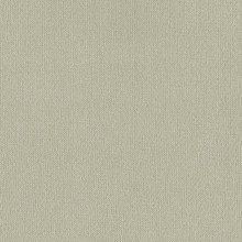 Silvertex STX-8818 Sage NEO