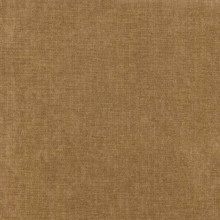 Pace - Camel