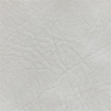 Seaside SSD-102 Anchor