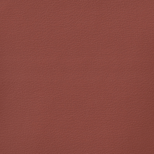 Naugahyde Spirit Millennium US-365 British Tan
