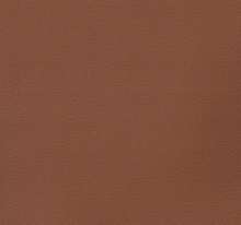 Naugahyde Spirit Millennium US-377 Cinnamon