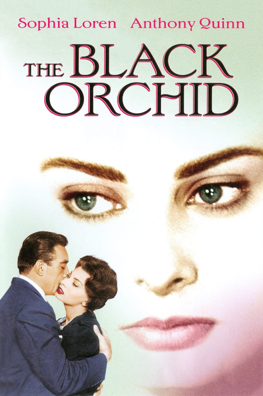 The Black Orchid (1958) - Sophia Loren Colorized Version DVD