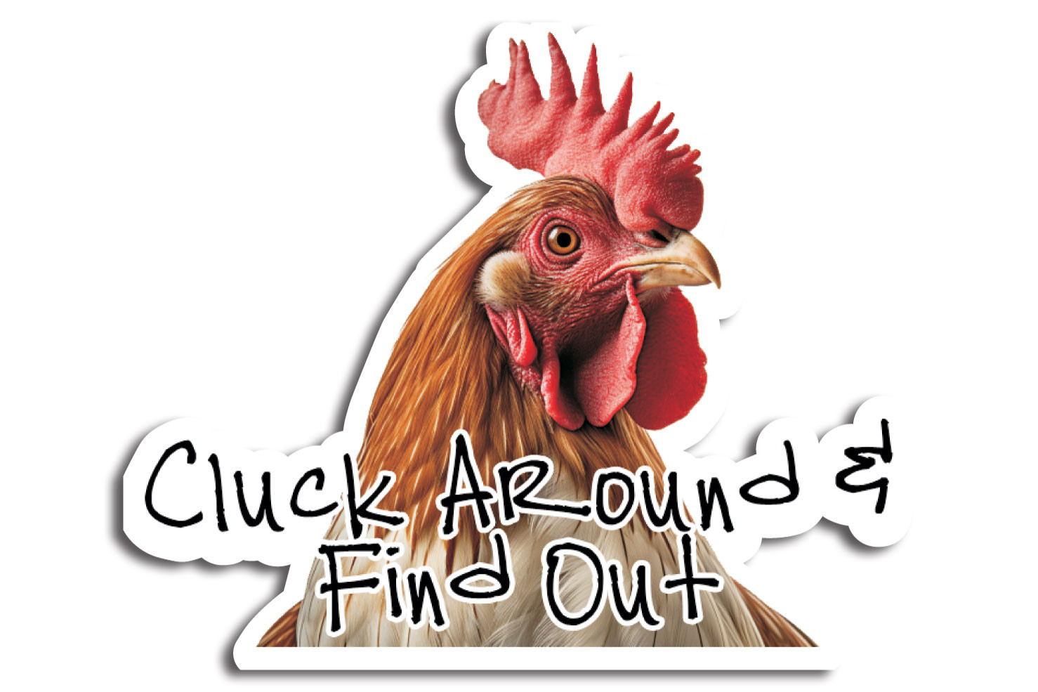 Cluck Around & Find Out Sticker Set