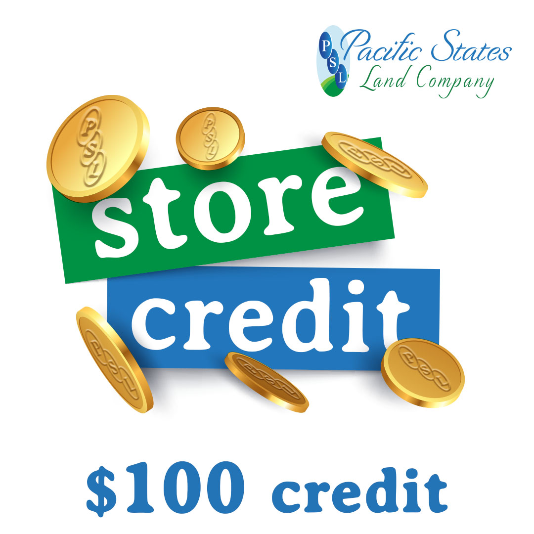 100 $ Store Credit