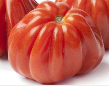 Tomato Granny's Throwing- (Che 125 mm - Harmony Garden Centre