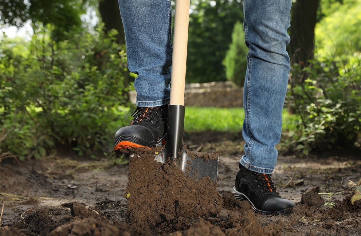 What to plant - January - Harmony Garden Centre