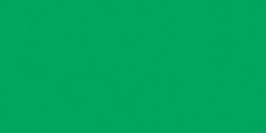 Jacquard Procion MX Dye 19g-Bright Green - PMX-1097 - GettyCrafts