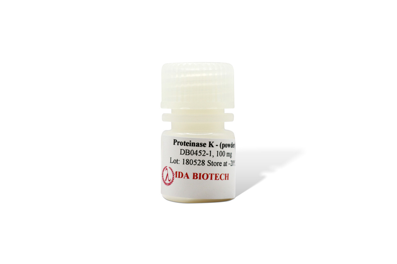 Proteinase K - Powder 100mg - Molecular Designs