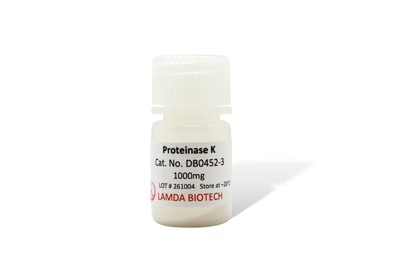 Proteinase K - Powder 1000mg - Molecular Designs