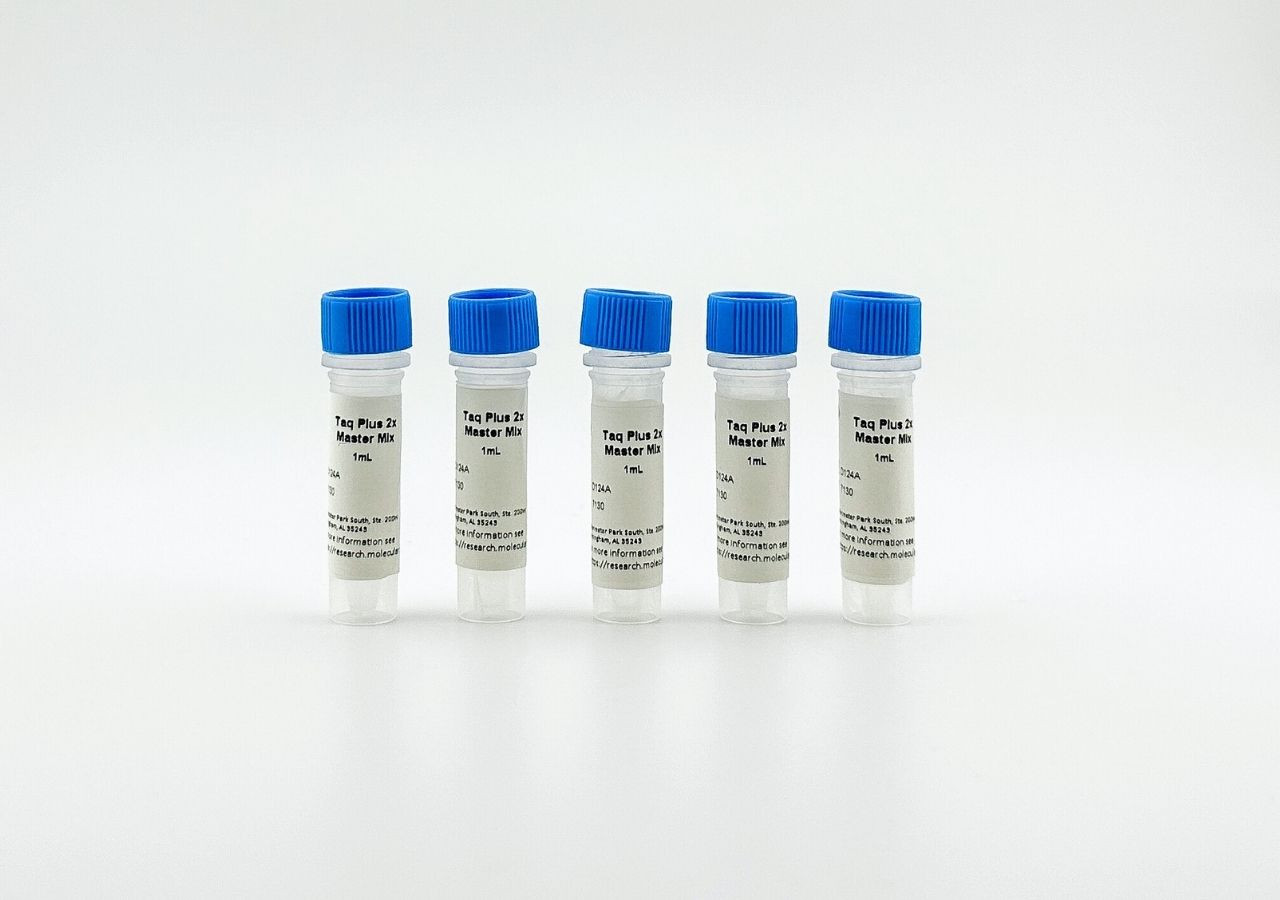 Taq Plus 2x Master Mix | Ready-to-Use PCR Master Mix