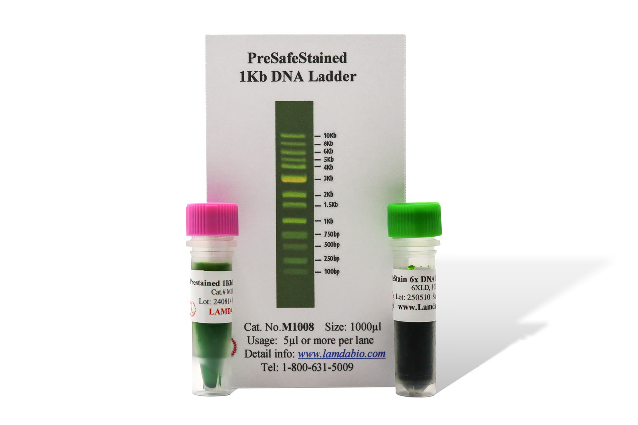 1Kb DNA Ladder, PreSafeStained - Molecular Designs Life Science Products