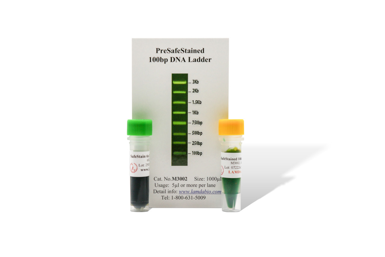100bp DNA Ladder, PreSafeStained - Molecular Designs
