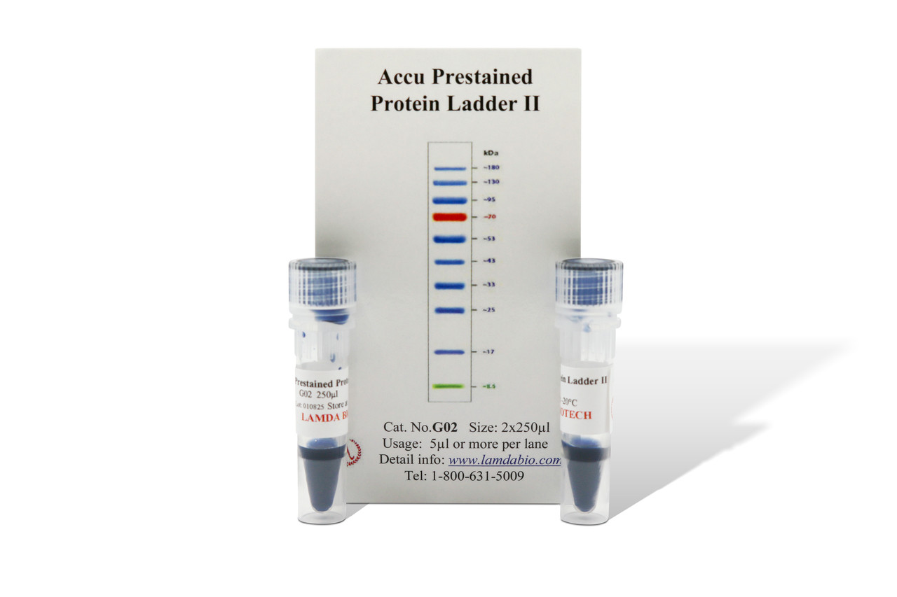 Accu Prestained Protein Ladder II, 2x 250ul - Molecular Designs