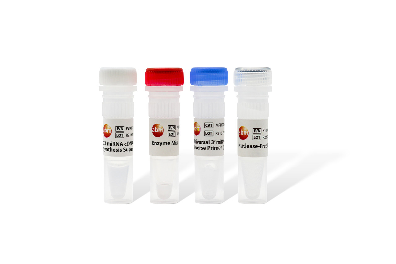 miRNA All-in-One cDNA Synthesis Kit - Molecular Designs Life Science ...