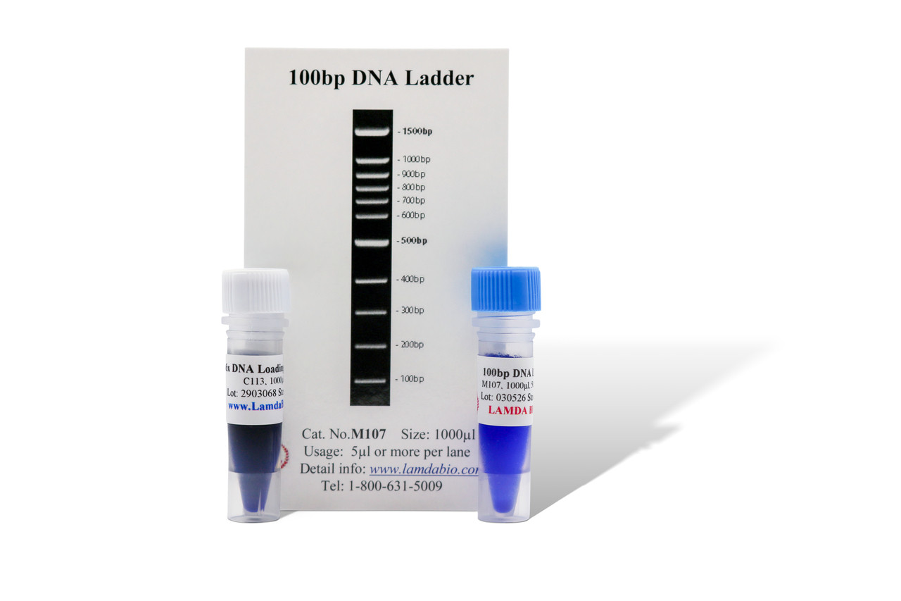 100 bp DNA Ladder - Molecular Designs Life Science Products