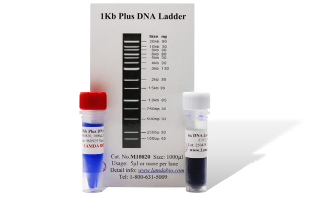 1Kb Plus DNA Ladder-20 - Molecular Designs Life Science Products