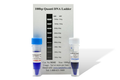 100bp Quantitative DNA Ladder - Molecular Designs Life Science Products