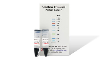 AccuRuler Prestained Protein Ladder - Molecular Designs Life Science ...