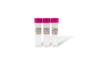 Proteinase K - solution 3ml - Molecular Designs