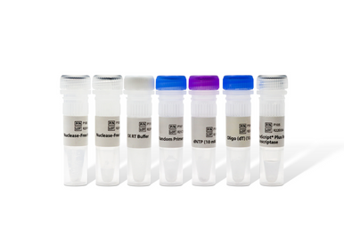 cDNA Synthesis: EasyScript Plus™ cDNA Synthesis Kit - Molecular Designs