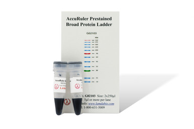 AccuRuler Broad Prestained Protein Ladder - Molecular Designs Life ...