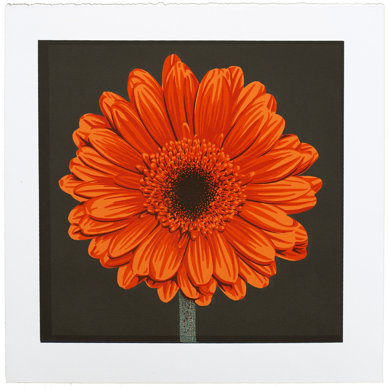Gerbera Daisy Screen Print Editions | 7 Colors | Kirk Fanelly