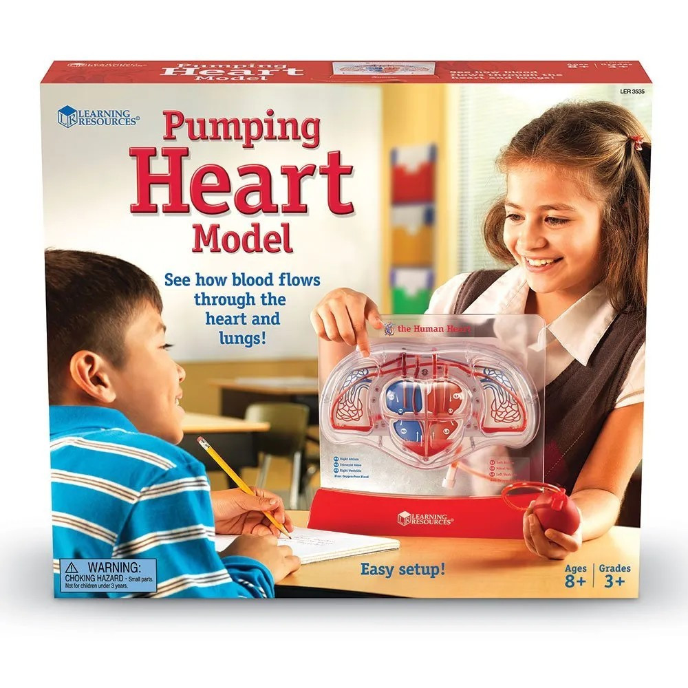 Learning Resources Pumping Heart Model - Supplies for Schools