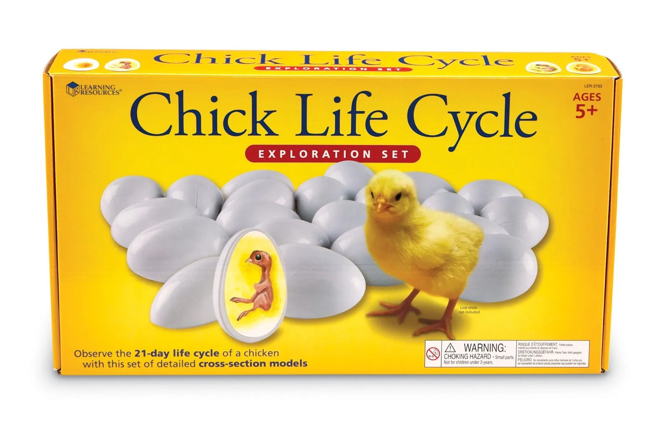 Learning Resources Chick Life Cycle Exploration Demonstration Set ...