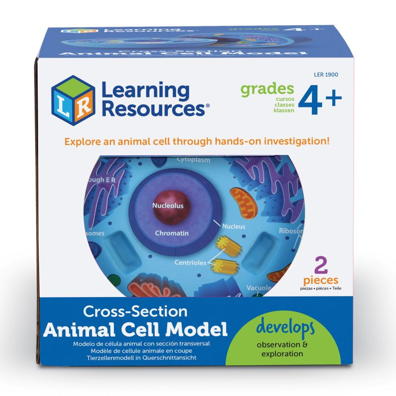 Learning Resources Cross-Section Animal Cell Display Model - Supplies ...