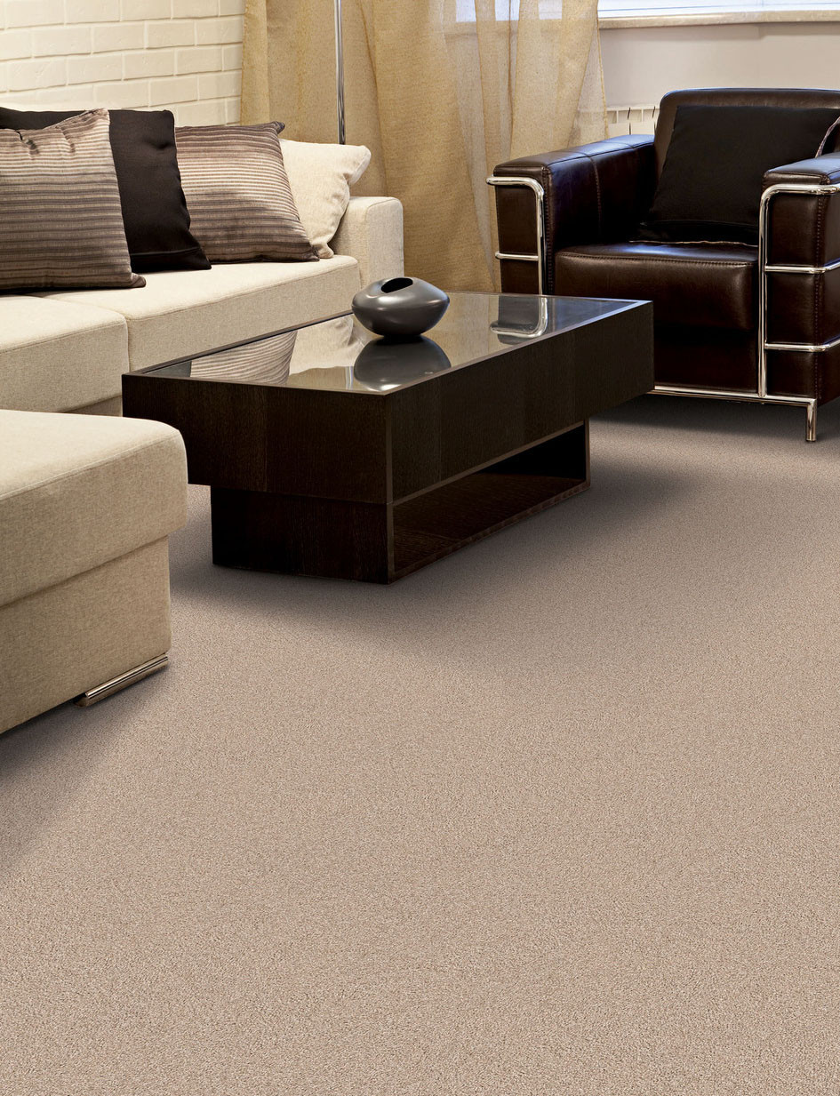 Engineered Floors Llc Exceptional Ii | Carpet