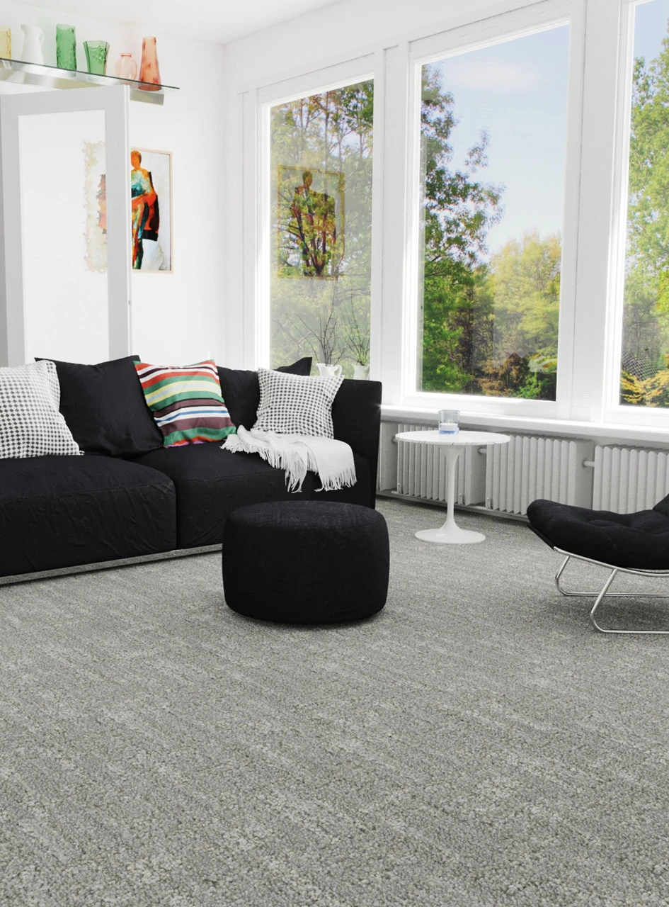 Engineered Floors Llc Century - 8634 | Carpet