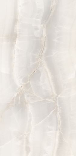 Elysium Tiles Inc Akoya White Polished 12" X 24" | Tile