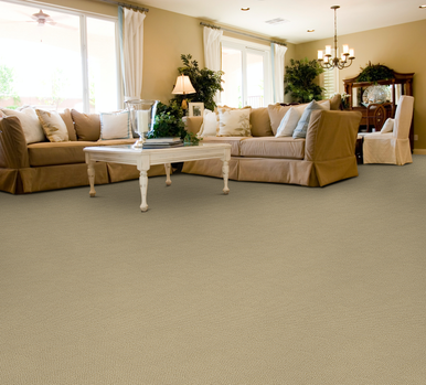 Dixie Home – Premium Carpet Solutions | Find a Showroom Near You