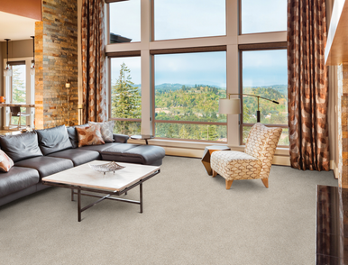 Dixie Home – Premium Carpet Solutions | Find a Showroom Near You