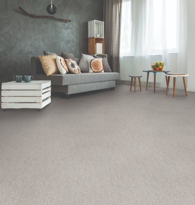 Dixie Home – Premium Carpet Solutions | Find a Showroom Near You