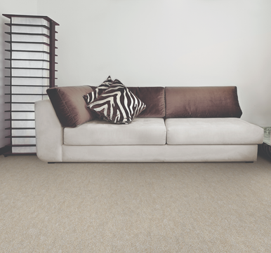 Dixie Home – Premium Carpet Solutions | Find a Showroom Near You