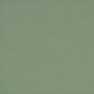 Statements Inc Color Collection Bright Olive Green Field 3" X 12 ...