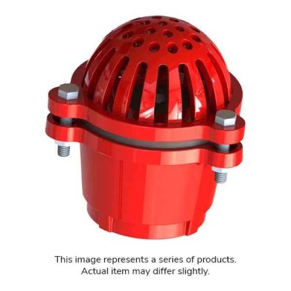 FOOT VALVE PAINTED CI 2-1/2" (CFI-FV-10) - Ballard Industrial