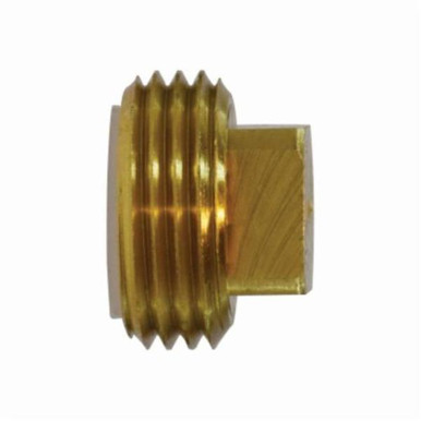 GARDEN HOSE PLUG BRASS 3/4" MALE (NWH-21521X12) - Ballard Industrial