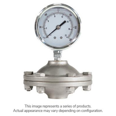 SENTINEL GUAGE GUARD 1/2" FNPT 160 PSI PVFD BODY PTFE DIAPHRAGM SS ...