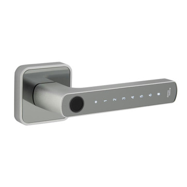 DORMA KABA Rose Biometric Digital Door Handle-Silver - Secure Your ...