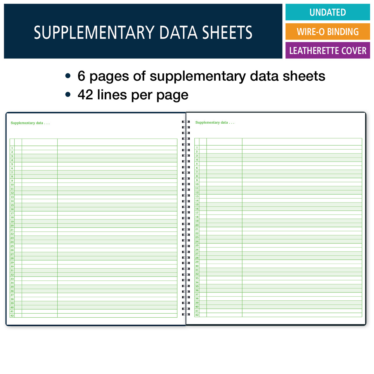Oversize Record Book for 6-10 Weeks; Extra-large Squares (1/4") 42 ...