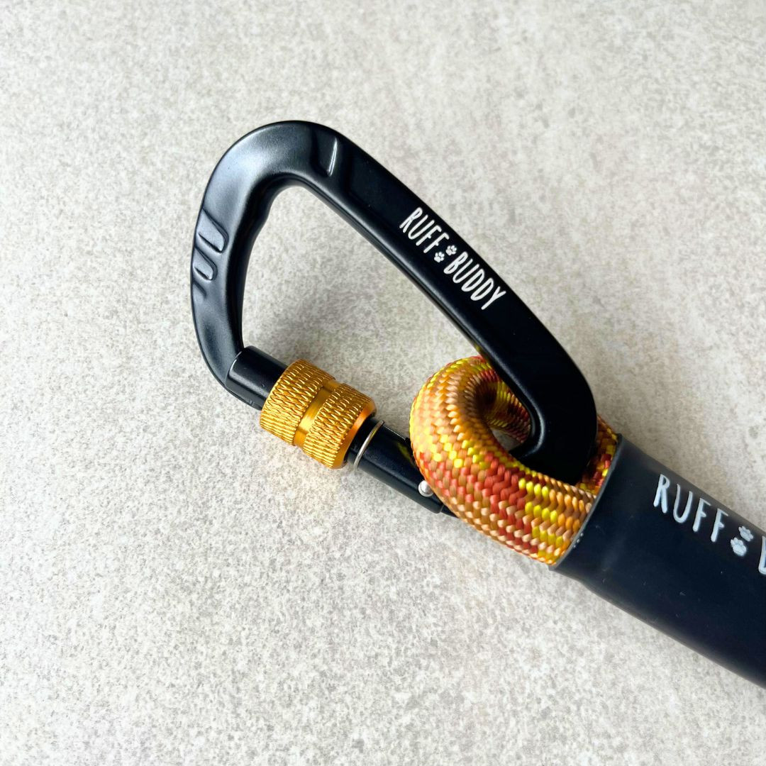 Gold Rush Dog Leash 6ft | Rope Dog Leash - Ruff Buddy