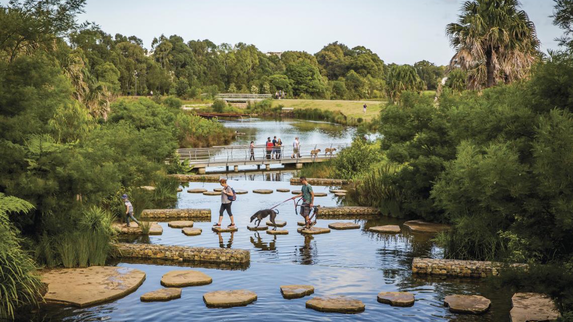 Best Dog Parks In Sydney - Ruff Buddy