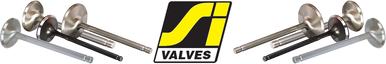 4.6 2V PI intake and Exhaust valve set