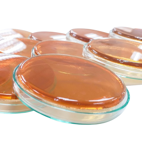 Malt Extract Agar Plates - Southern Biological